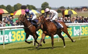 Image Gallery – Racing Media Pics