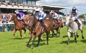 Image Gallery – Racing Media Pics